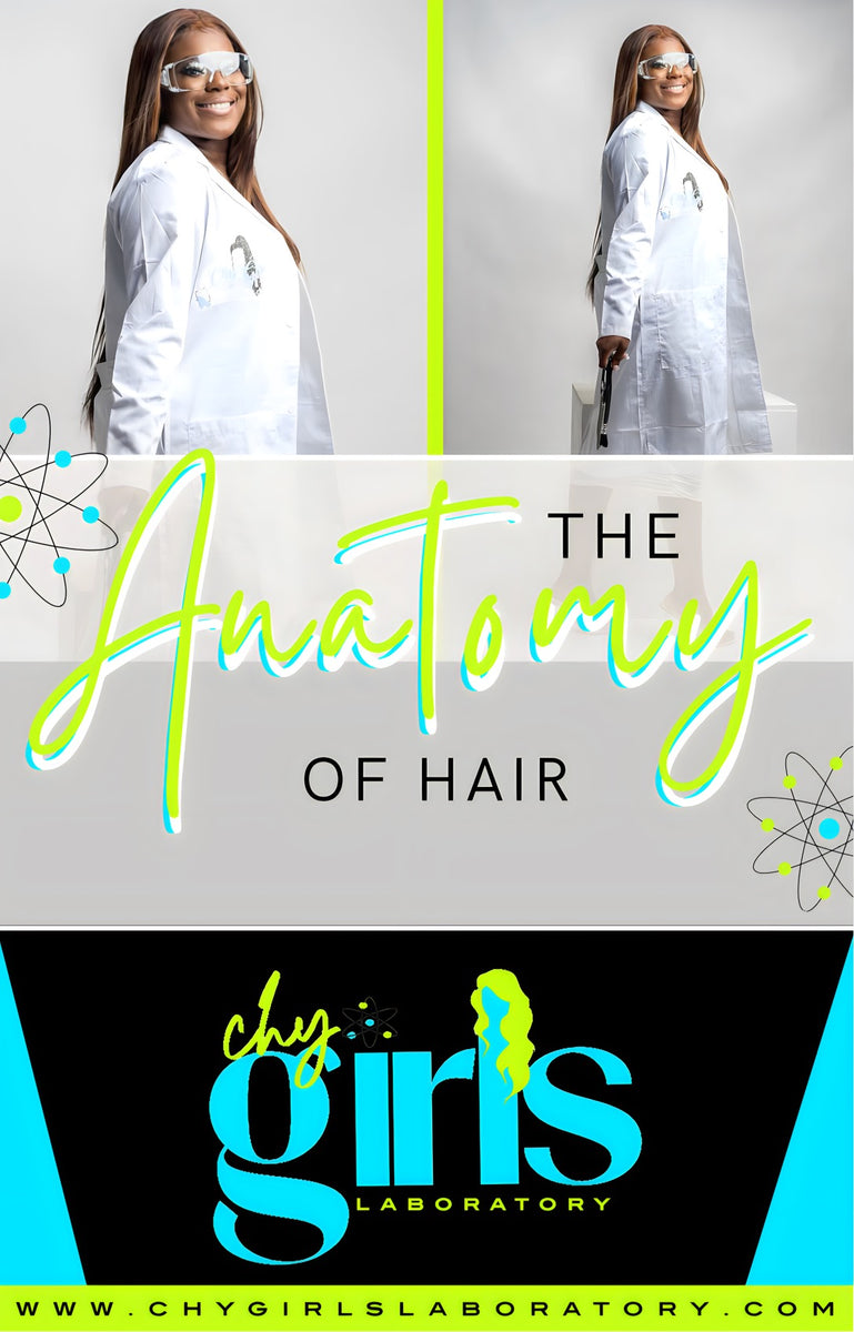 The Anatomy Of Hair – Chy Girls Laboratory